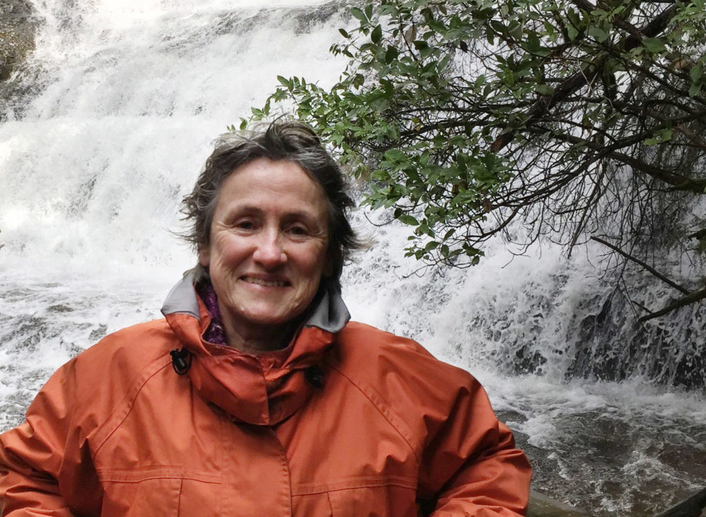 About Anne Collins | Anne Collins